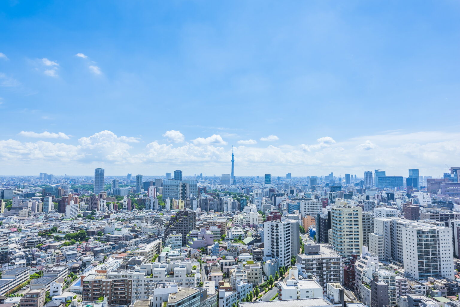 Nuestra historia - Litia